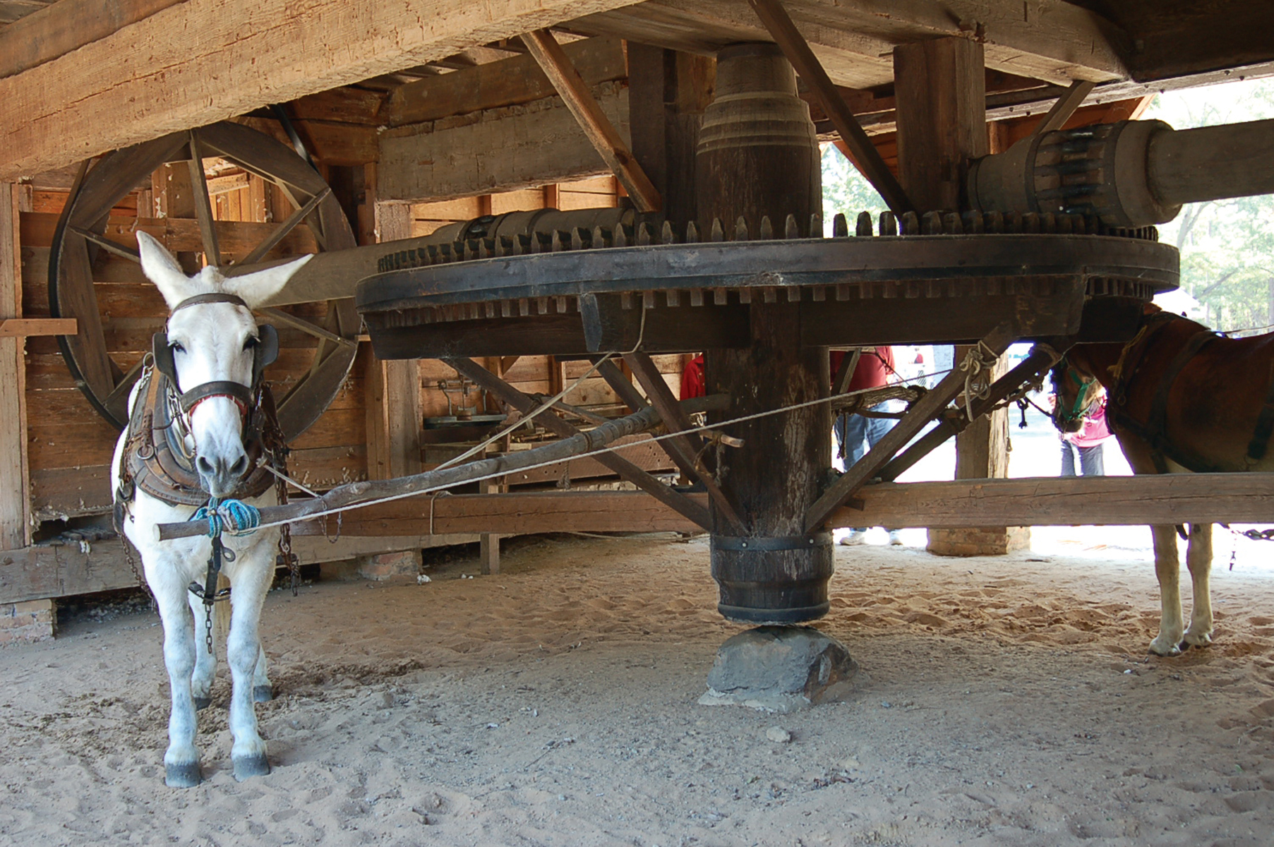 Evolving Uses for Steam Power - Farm Collector